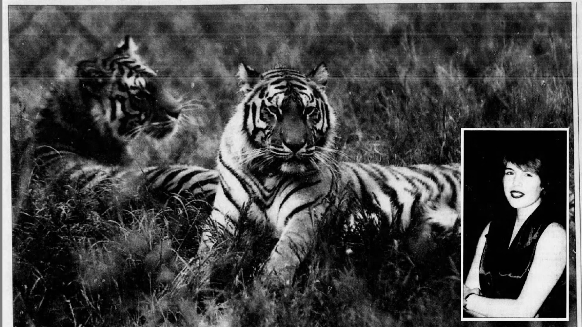 African Lion Safari case | Thomson Rogers LLP